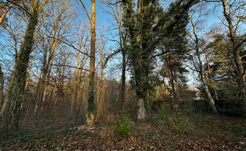 Land for Sale in Noisy-sur-École, Île-de-France, France