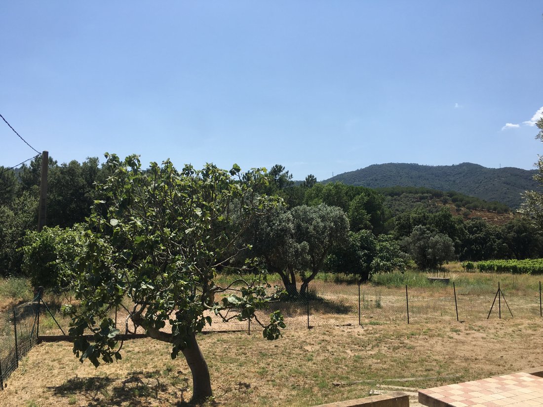 Country House In The In Le Plan De La Tour, Provence Alpes Côte D'azur ...