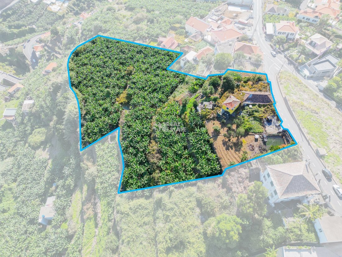 Traditional Madeiran House T3 With Annexes, In Ponta Do Sol, Madeira ...