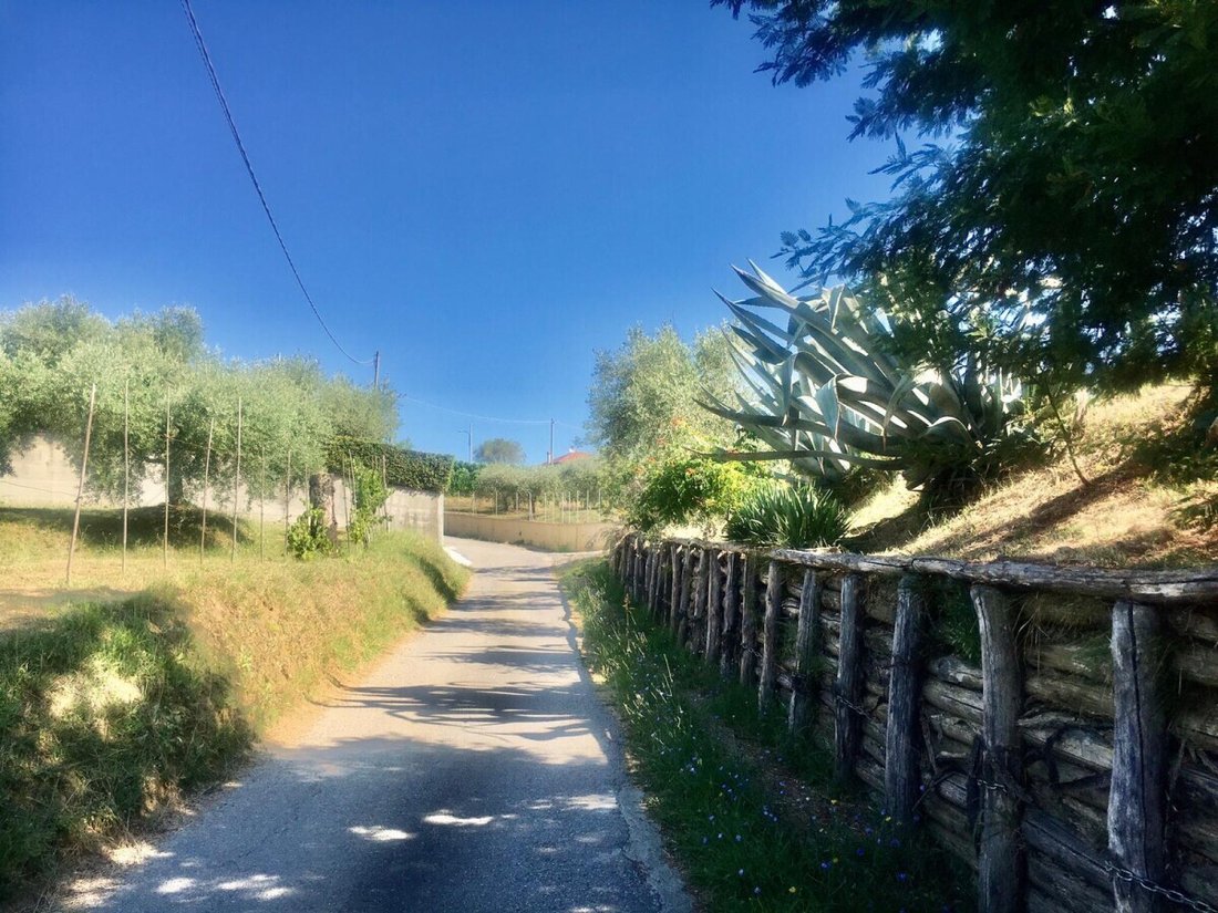 450 Sqm 10 Rooms In Colombiera Molicciara, Liguria, Italy For Sale ...