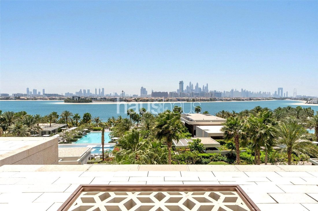 Immediate Dubai Skyline Vista | Rare In Dubai, Dubai, United Arab ...
