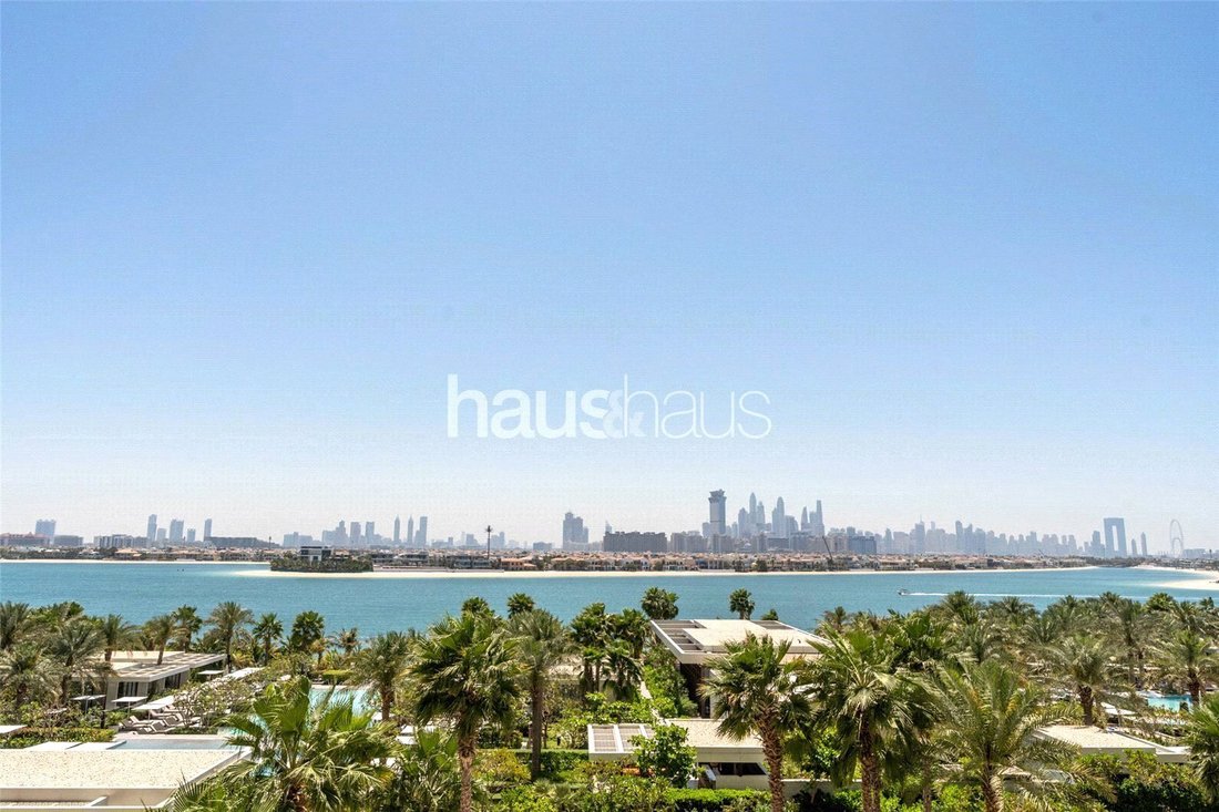 Immediate Dubai Skyline Vista | Rare In Dubai, Dubai, United Arab ...