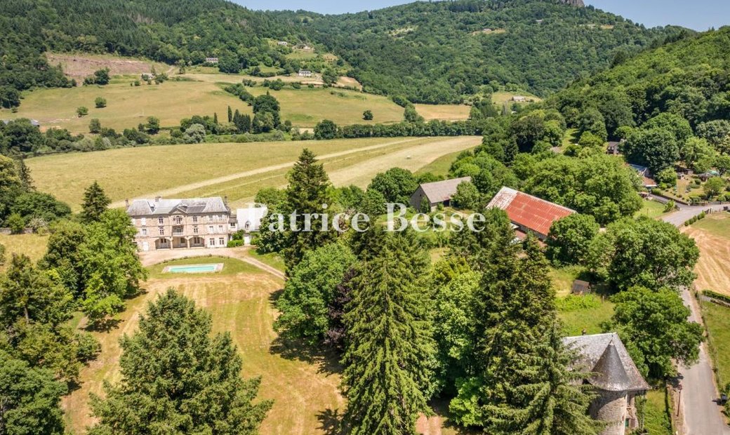 A 19th Century Palladian Chateau, Its En Ydes, Auvernia Ródano Alpes ...