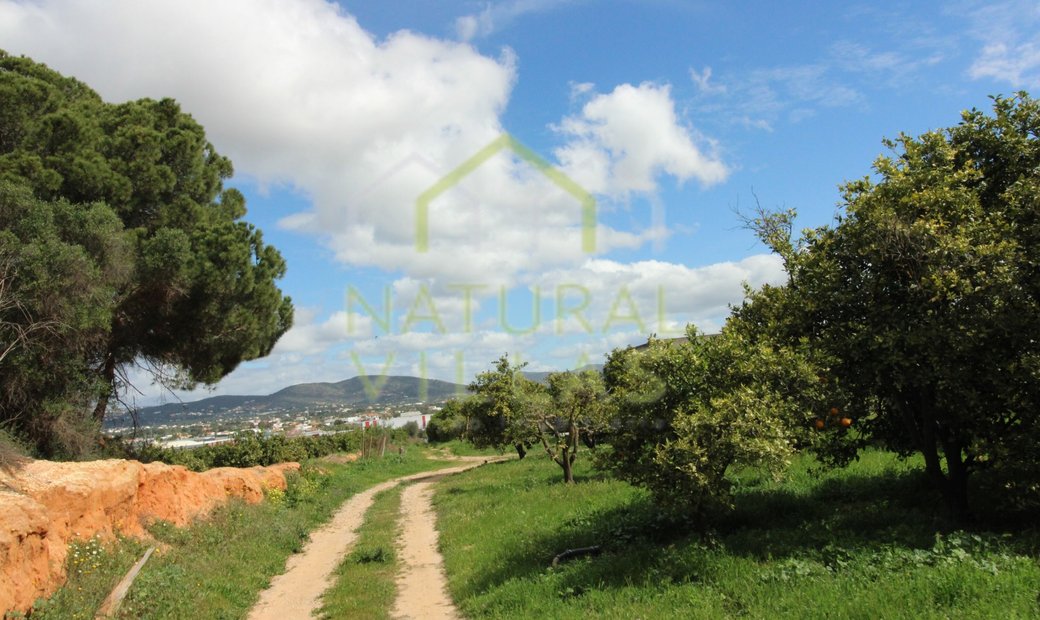 Agricultural Farm Of 7.7ha In En Faro (Se Y Sao Pedro), Algarve ...