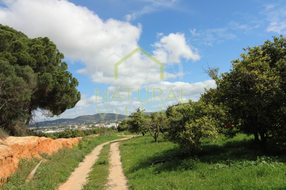 Agricultural Farm Of 7.7ha In En Faro (Se Y Sao Pedro), Algarve ...
