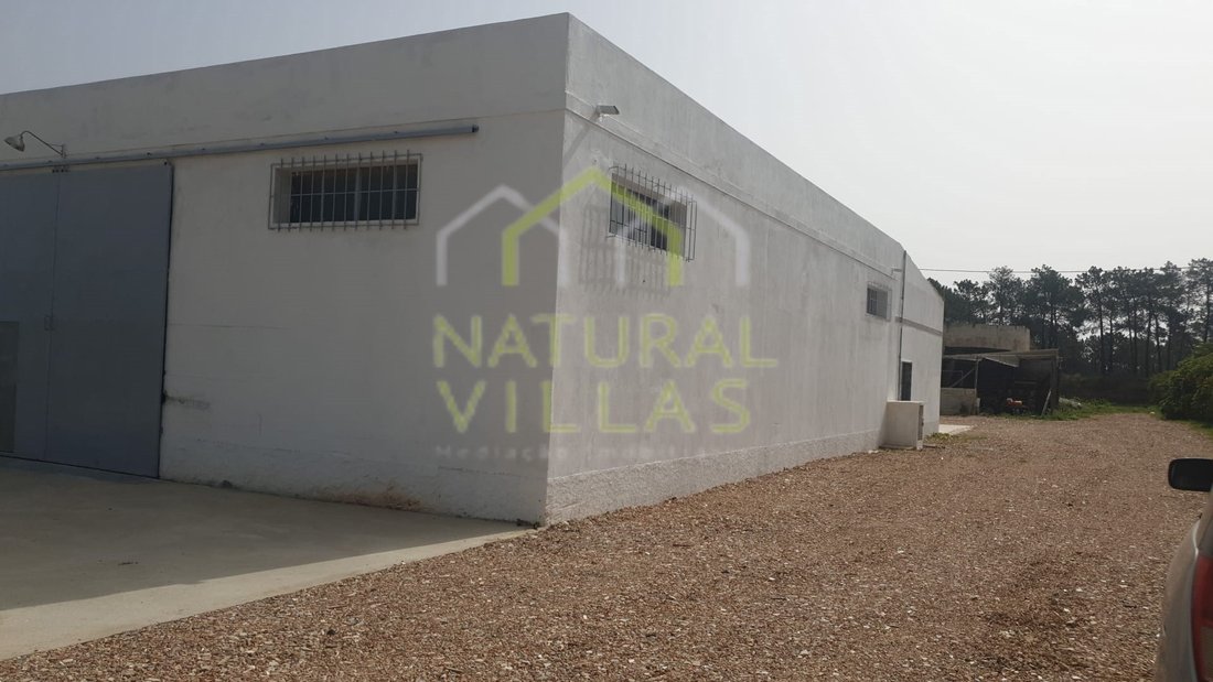 Agricultural Farm Of 7.7ha In En Faro (Se Y Sao Pedro), Algarve ...