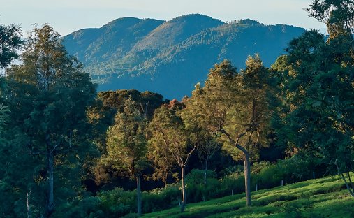 Mountain view land for sale in Vannarpet, Coonoor, Tamil Nadu, India ...