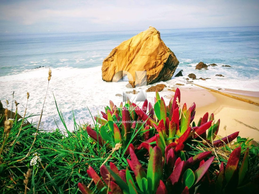 Torres Vedras Terrenos En Silveira, Distrito De Lisboa, Portugal En ...