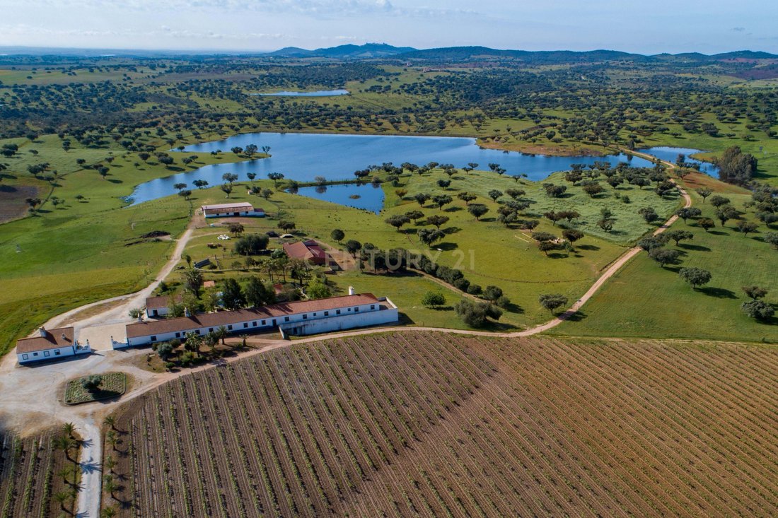 190 Hectare Estate (16 Hectares Of In Santiago Maior, évora District ...