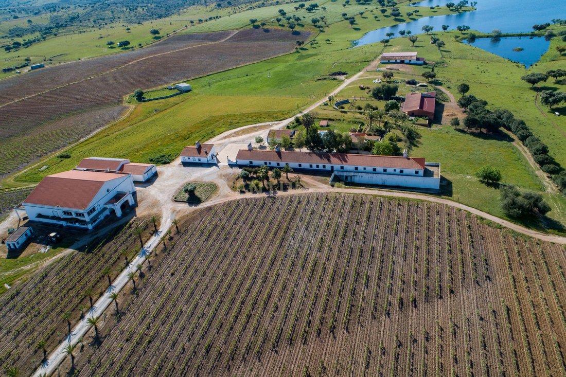 190 Hectare Estate (16 Hectares Of In Santiago Maior, évora District ...