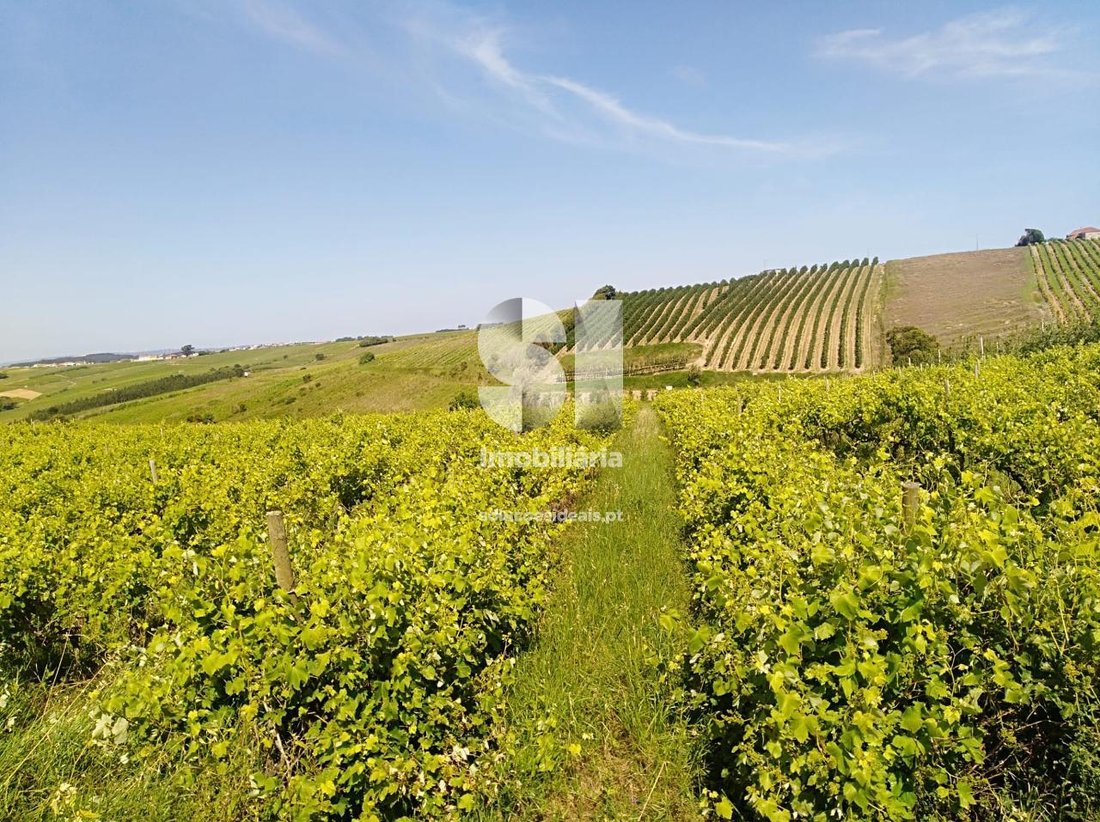 Bombarral Terrenos In Carvalhal, Leiria District, Portugal For Sale ...