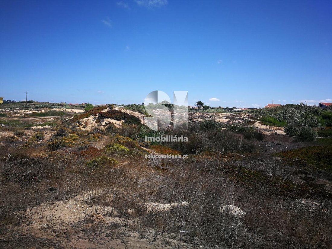 Torres Vedras Terrenos En Silveira, Distrito De Lisboa, Portugal En ...
