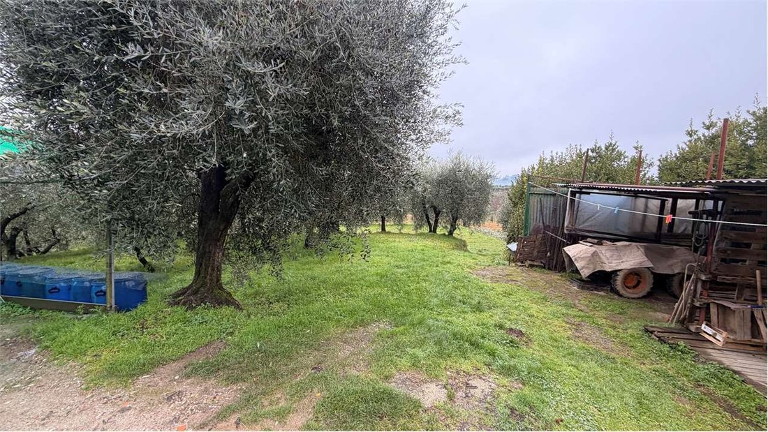 Montecarlo (Lu) – Rustico Con Oliveta: Un Rifugio Esclusivo In Tuscany ...