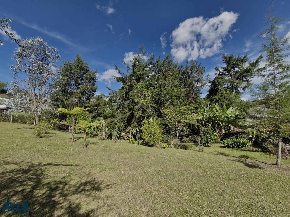 Farm For Sale In El Carmen De Viboral In La Selva, Antioquia, Colombia ...