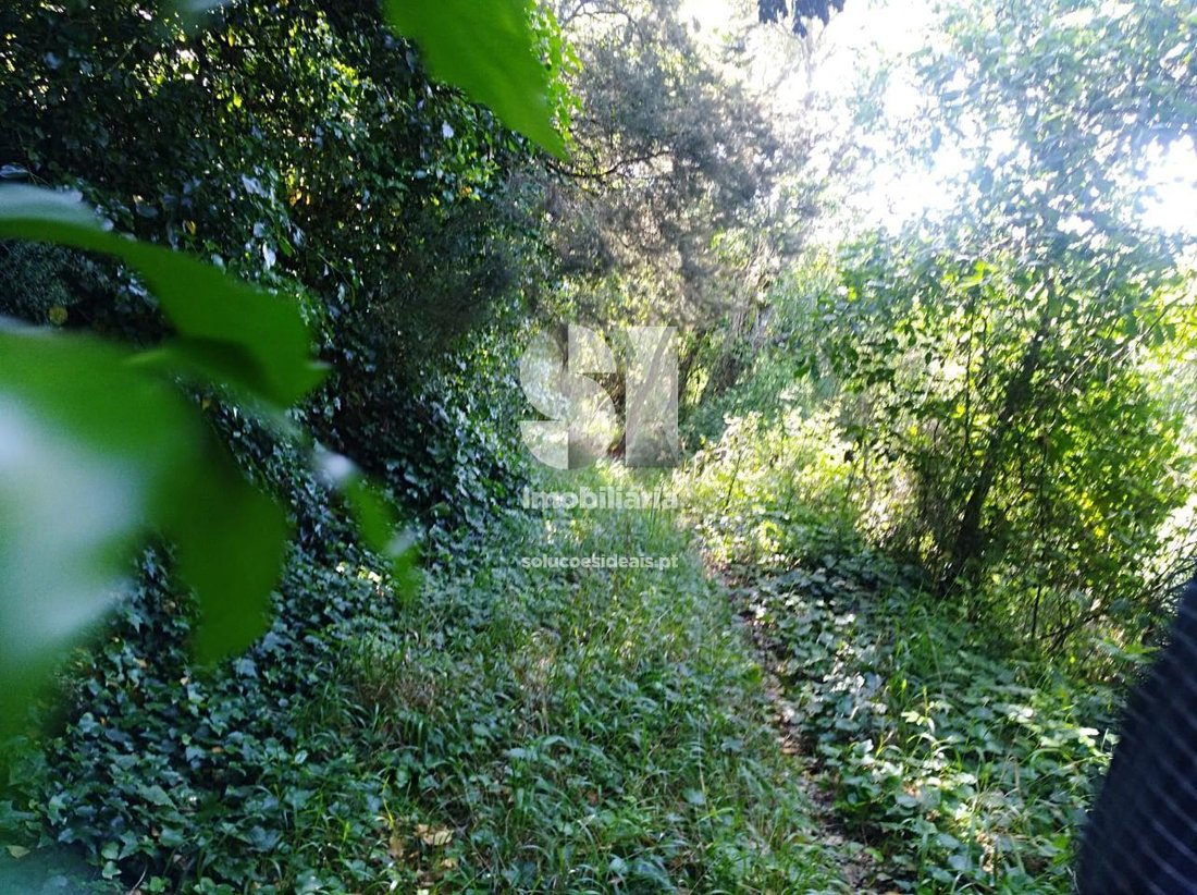 Bombarral Terrenos In Carvalhal, Leiria District, Portugal For Sale ...