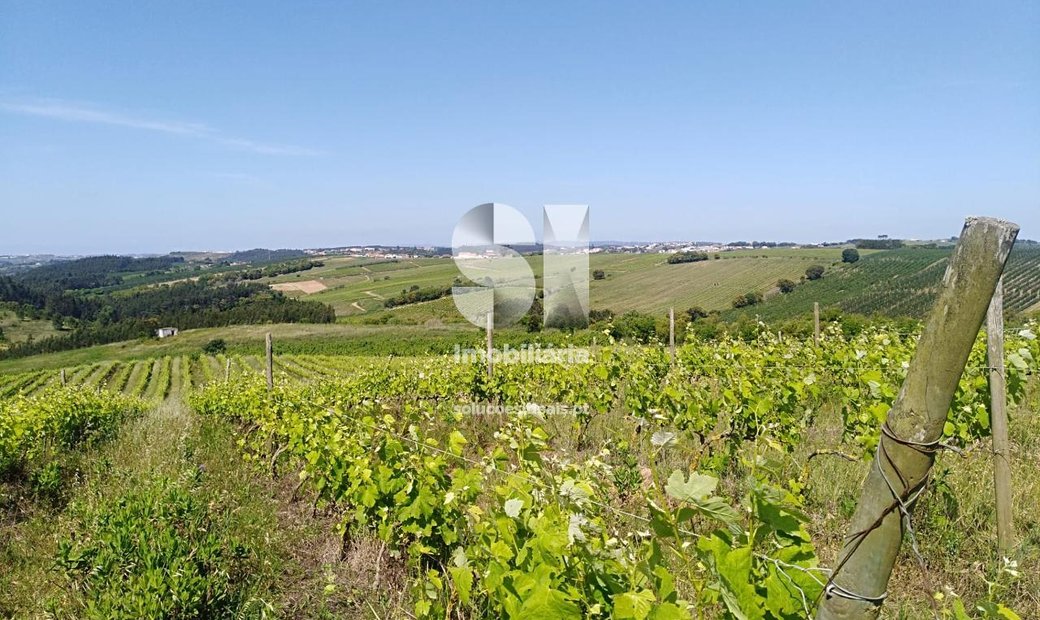 Bombarral Terrenos In Carvalhal, Leiria District, Portugal For Sale ...