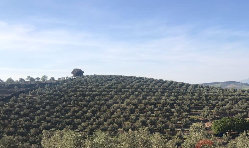 Finca Rustica Castril Spain In Castril, Andalusia, Spain For Sale ...