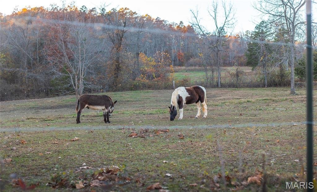 Farm And Agriculture Bunker In Bunker, Missouri, United States For Sale ...