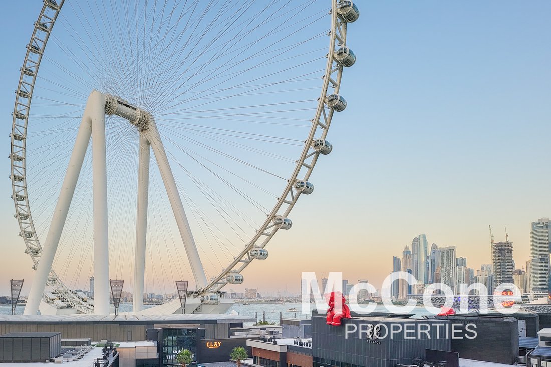 Fully Furnished | Ain Dubai View | Fully In Dubai, Dubai, United Arab ...