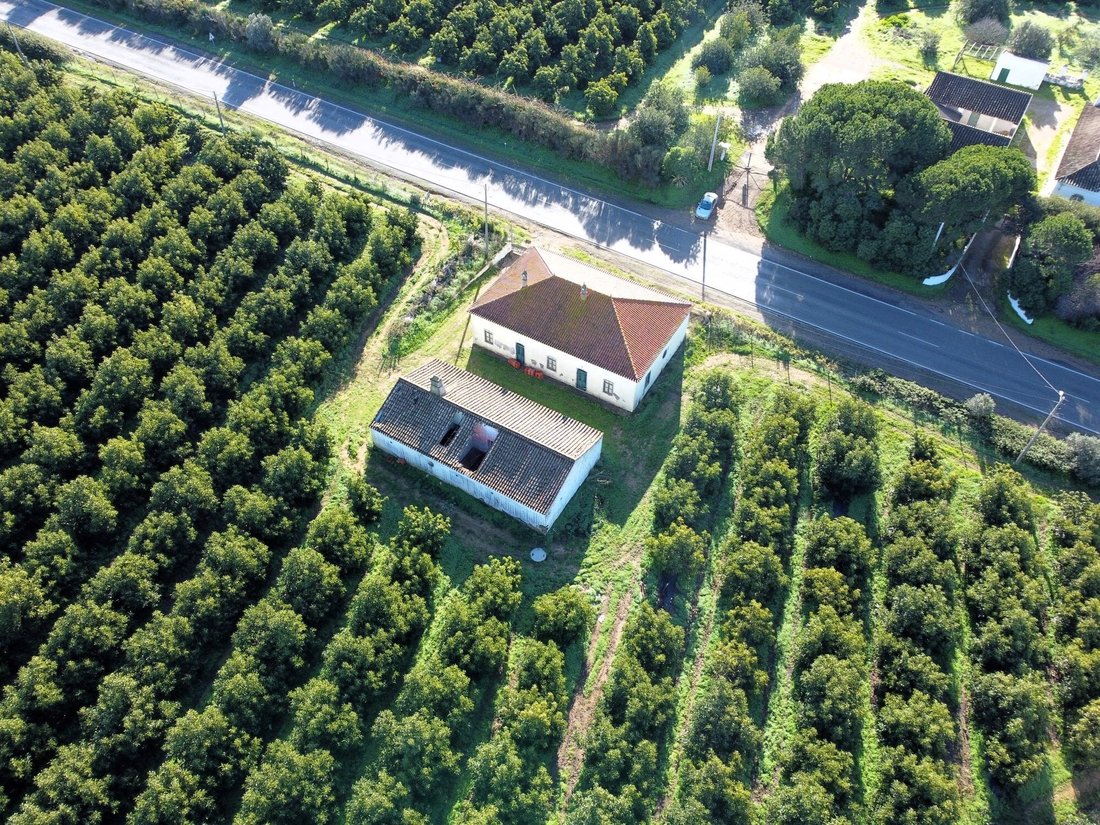 Farm With 2 Houses And Agricultural En Vila Nova De Cacela, Algarve ...