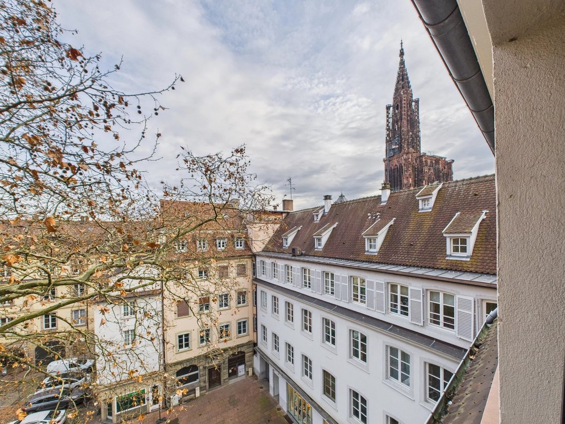 Architect Designed Apartment Hyper Center In Strasbourg, Grand Est ...