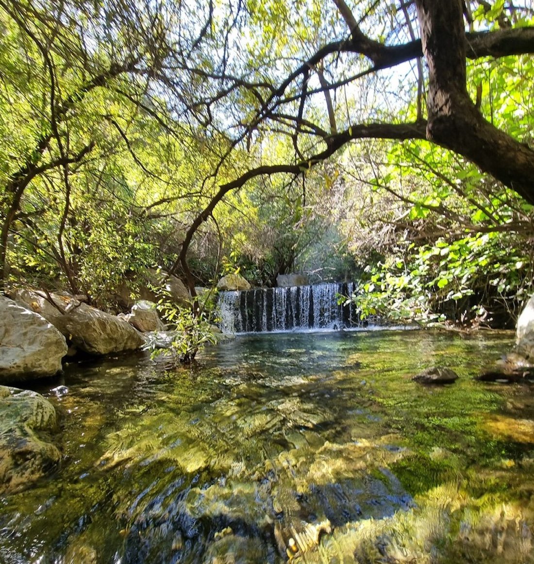Impresionante Cortijo Renovado, A Solo 35 Minutos En En Coín, Andalucía ...