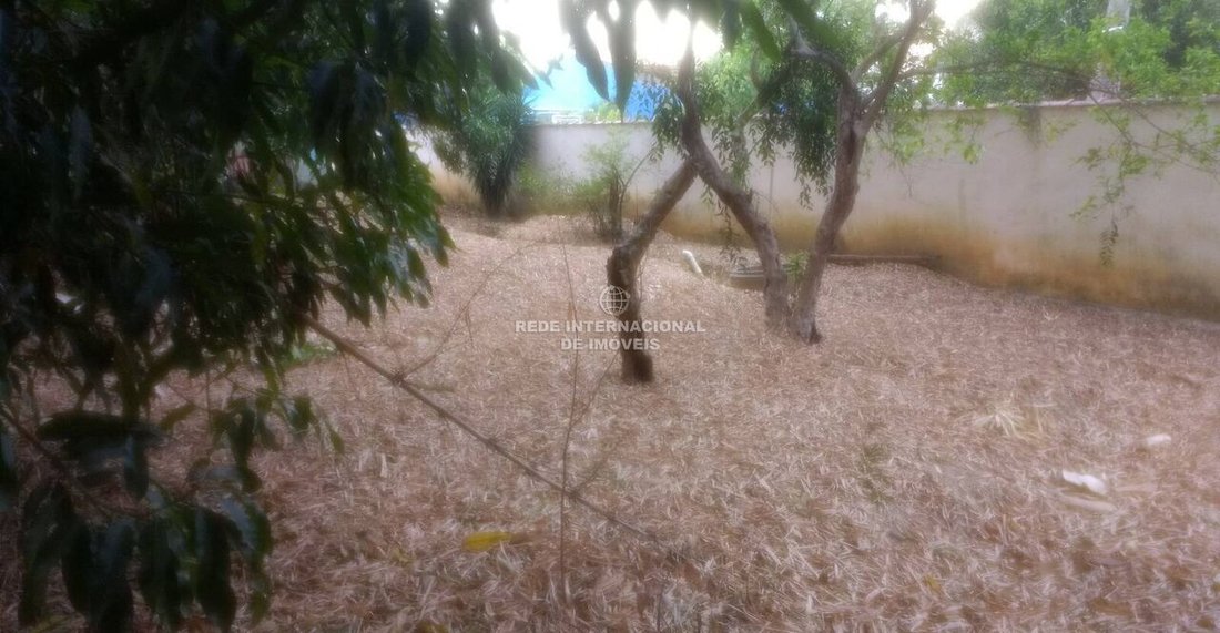 Area In The Neighborhood In Jardim Marcelo Augusto, State Of São Paulo ...