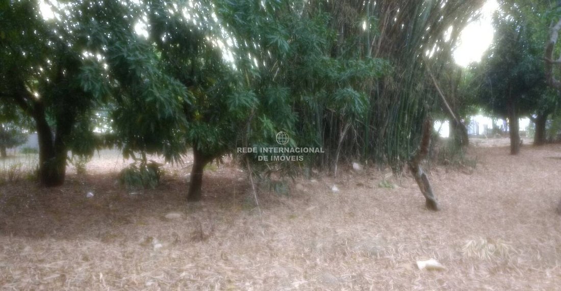 Area In The Neighborhood In Jardim Marcelo Augusto, State Of São Paulo ...