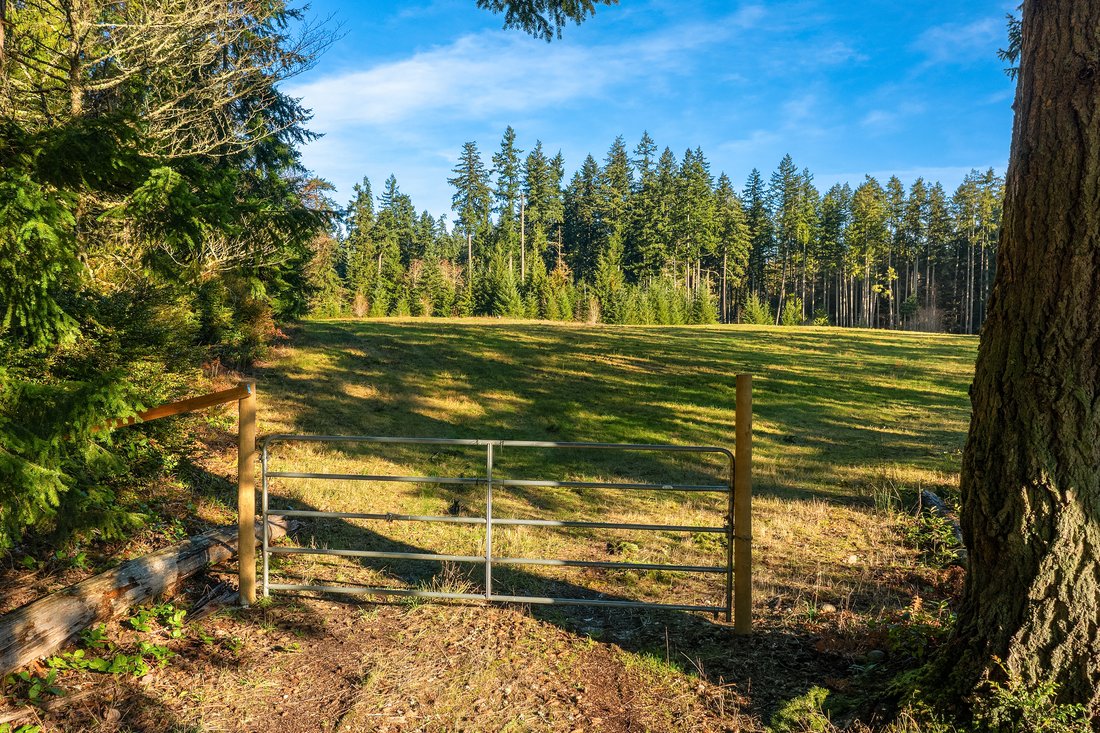 800 Insel Vashon In Vashon Island, Washington, Vereinigte Staaten Zu ...
