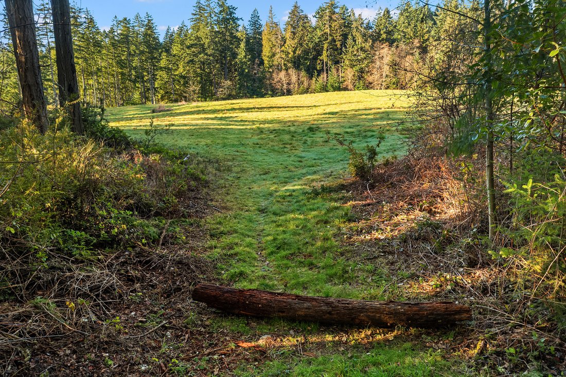 800 Insel Vashon In Vashon Island, Washington, Vereinigte Staaten Zu ...