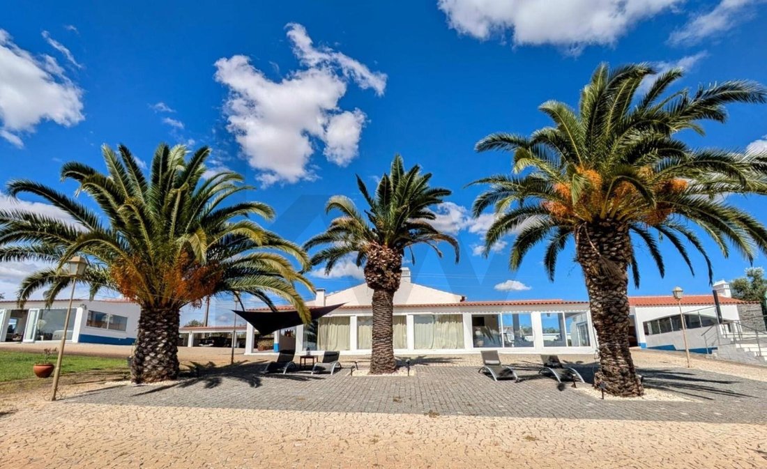 Ferme Dans Estremoz (Santa Maria E Santo Andre), District D'évora ...
