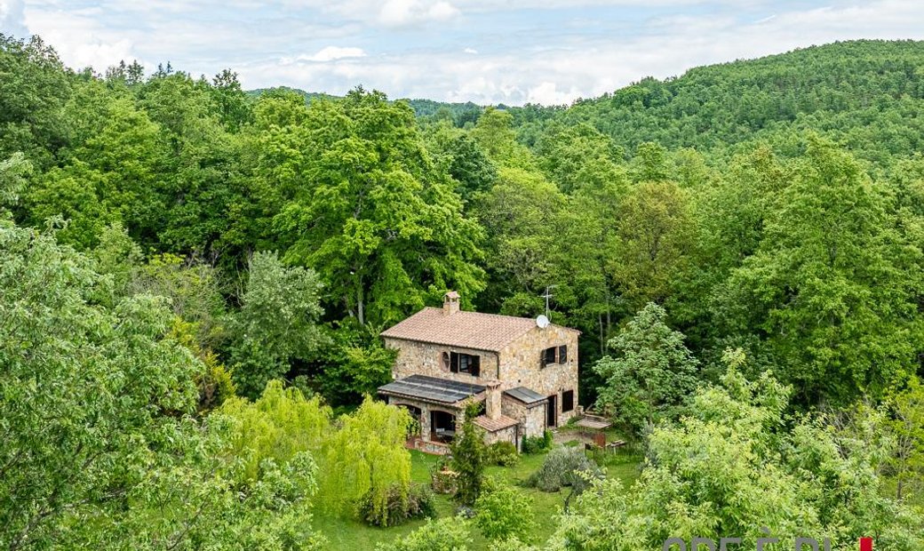 Traditional Newly Built Farmhouse In The Woods In In Montieri, Tuscany ...