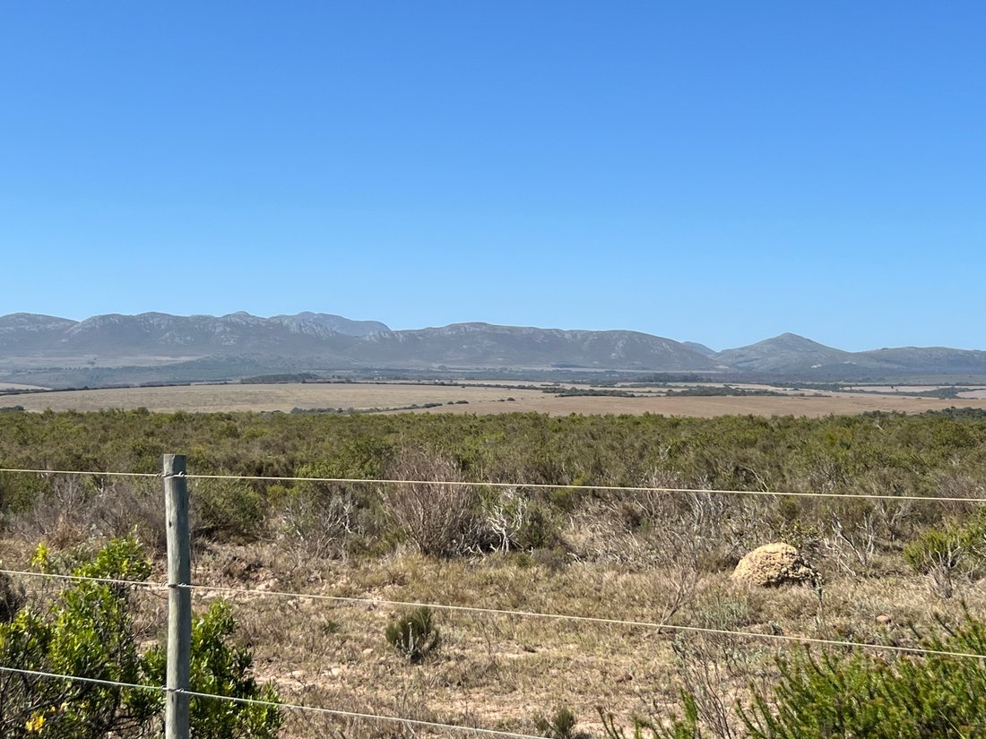 Agrar Und Investitionsfarm, Humansdorp In Humansdorp, Ostkap, Südafrika ...