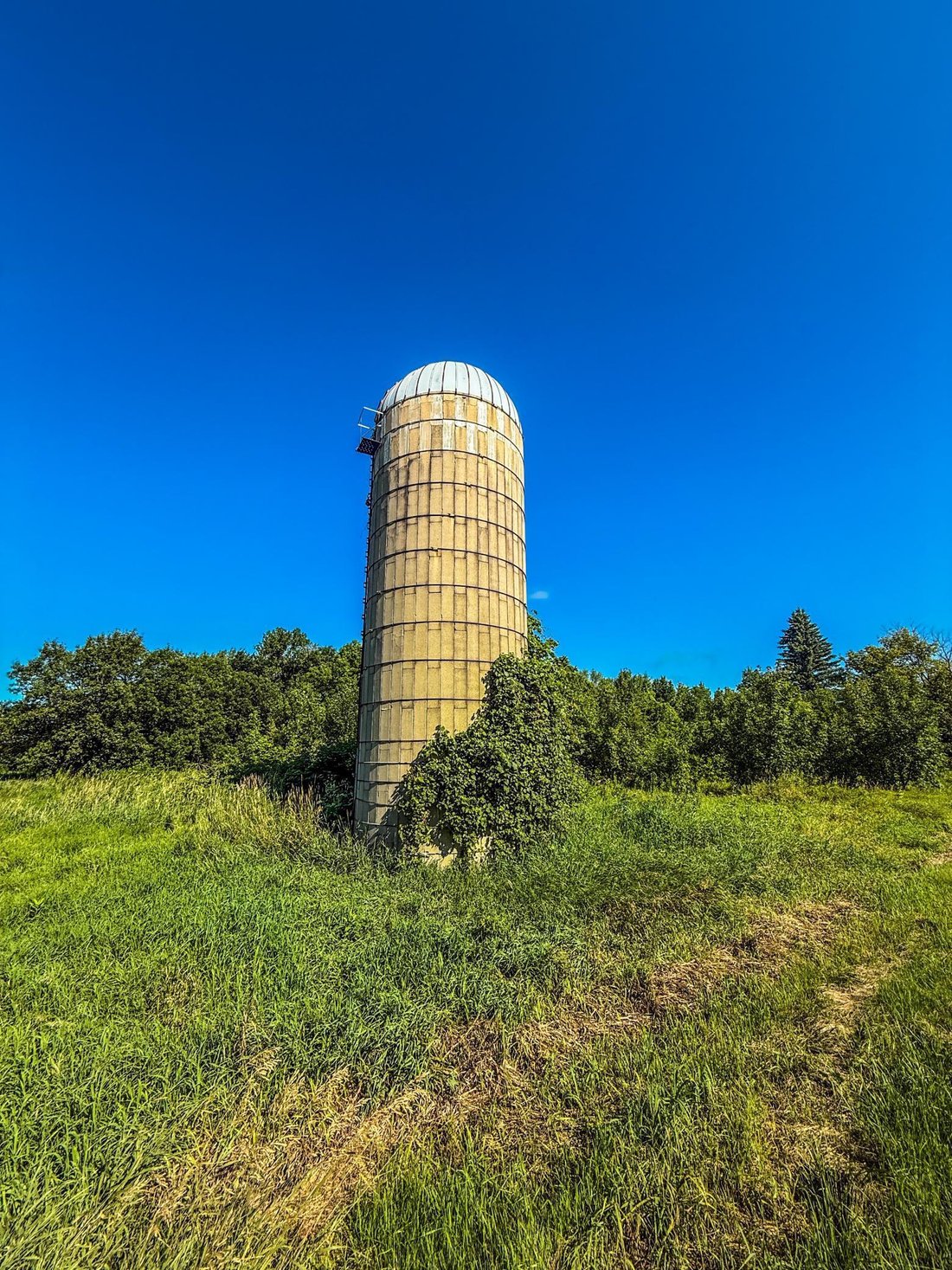 Vacant Land En Mayer, Minnesota, Estados Unidos En Venta (16999724)