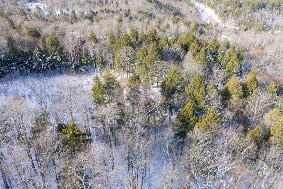 56 Lower Taylor Hill Road Dans Winhall, Vermont, états Unis à Vendre ...