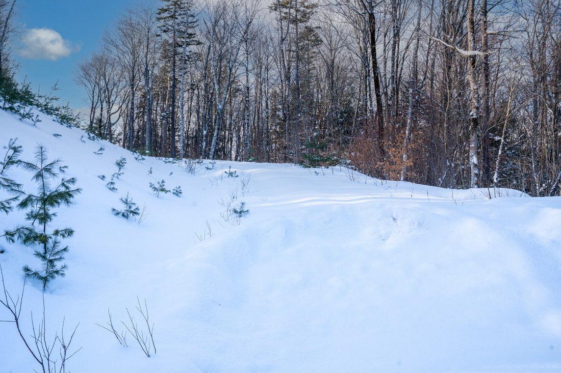 56 Lower Taylor Hill Road Dans Winhall, Vermont, états Unis à Vendre ...