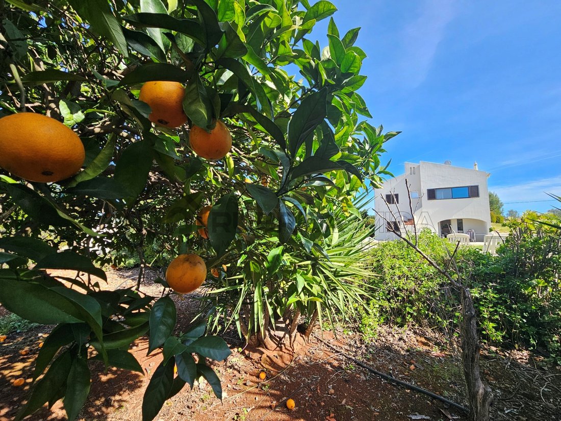 Propriété De 3 Chambres Avec Dans São Bartolomeu De Messines, Algarve ...