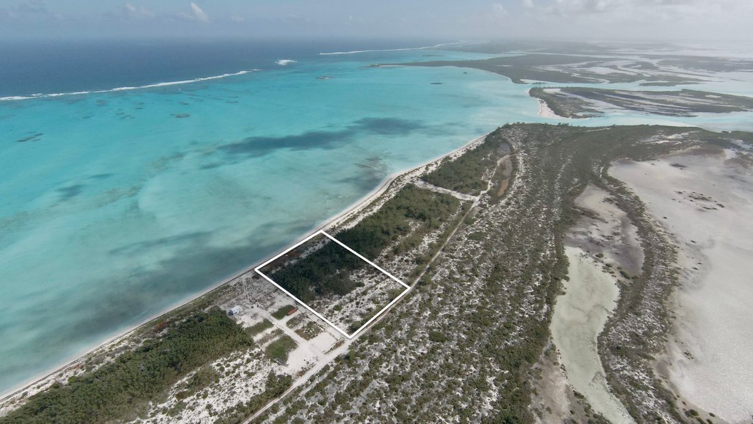 Wild Cow Run, Middle Caicos En Lorimers, Caicos Islands, Islas Turcas Y ...