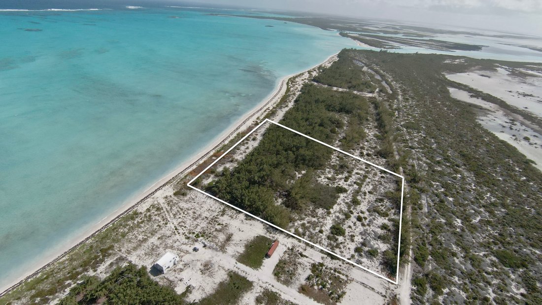 Wild Cow Run, Middle Caicos En Lorimers, Caicos Islands, Islas Turcas Y ...