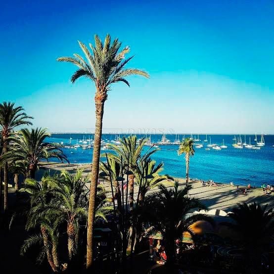 Parcela Urbana Venta Murcia In San Javier, San Javier, Region Of Murcia ...