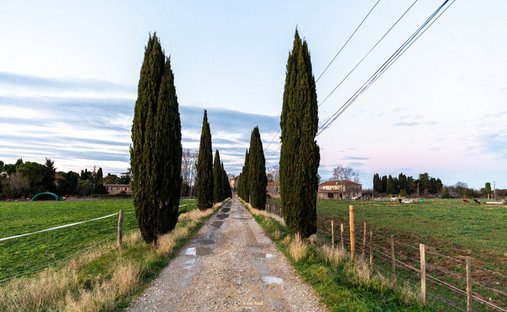 Luxury castles with garage for sale in Aimargues, Occitanie, France ...