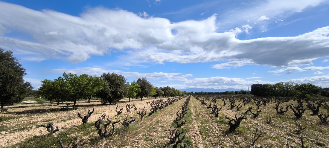 Visan. Mas 267 M² Modulable En Visan, Provenza Alpes Costa Azul ...