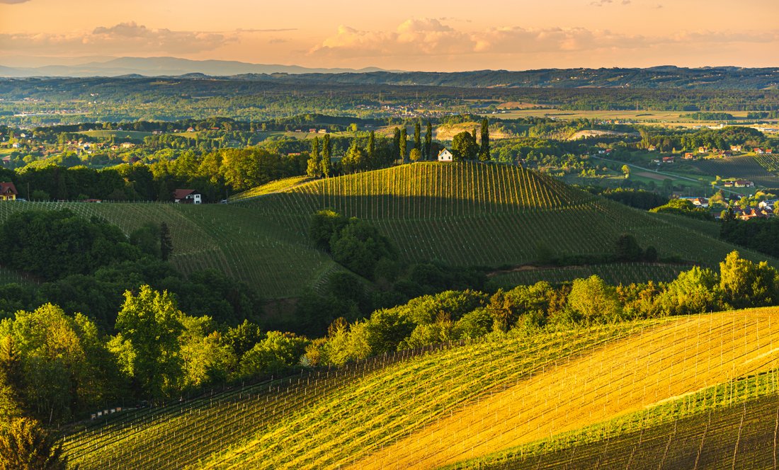 Tuscan Esate With Swimming Pool In Montalcino, Heart Of Val In Pienza ...