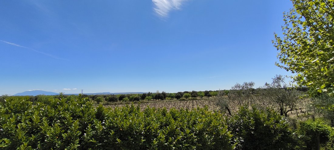 Visan. Mas 267 M² Modulable En Visan, Provenza Alpes Costa Azul ...