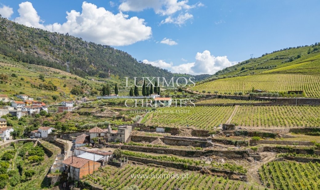 Weinberg Zum Verkauf In Alto In Parada Do Bispo E Valdigem, Viseu ...