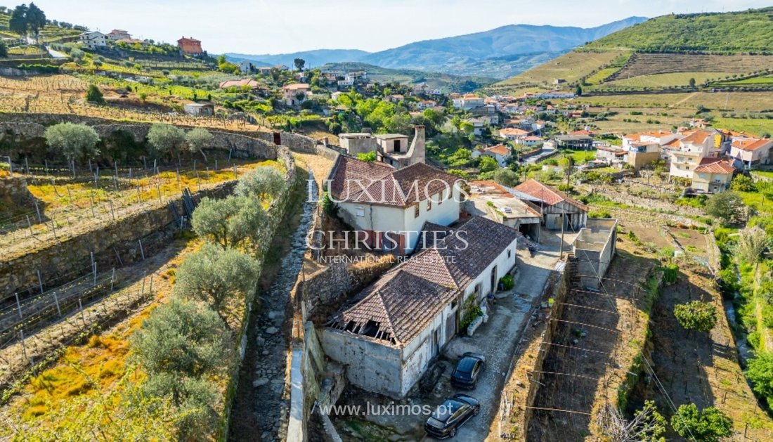 Weinberg Zum Verkauf In Alto In Parada Do Bispo E Valdigem, Viseu ...