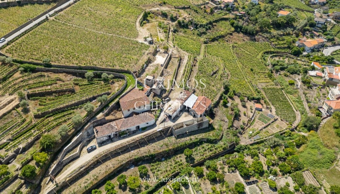 Weinberg Zum Verkauf In Alto In Parada Do Bispo E Valdigem, Viseu ...