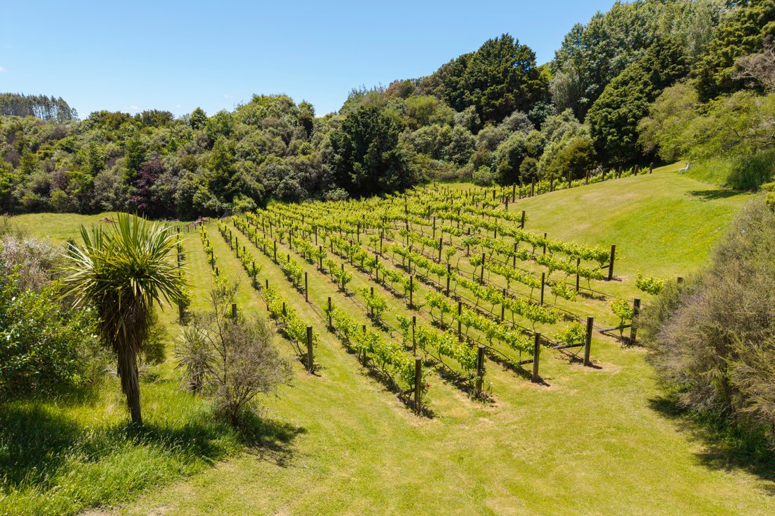Live Beautifully. Live Totally Off Grid In Oruanui, Waikato, New ...