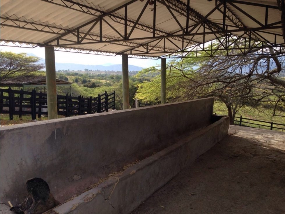 Tocaima Finca En Tocaima, Cundinamarca, Colombia En Venta (17082416)