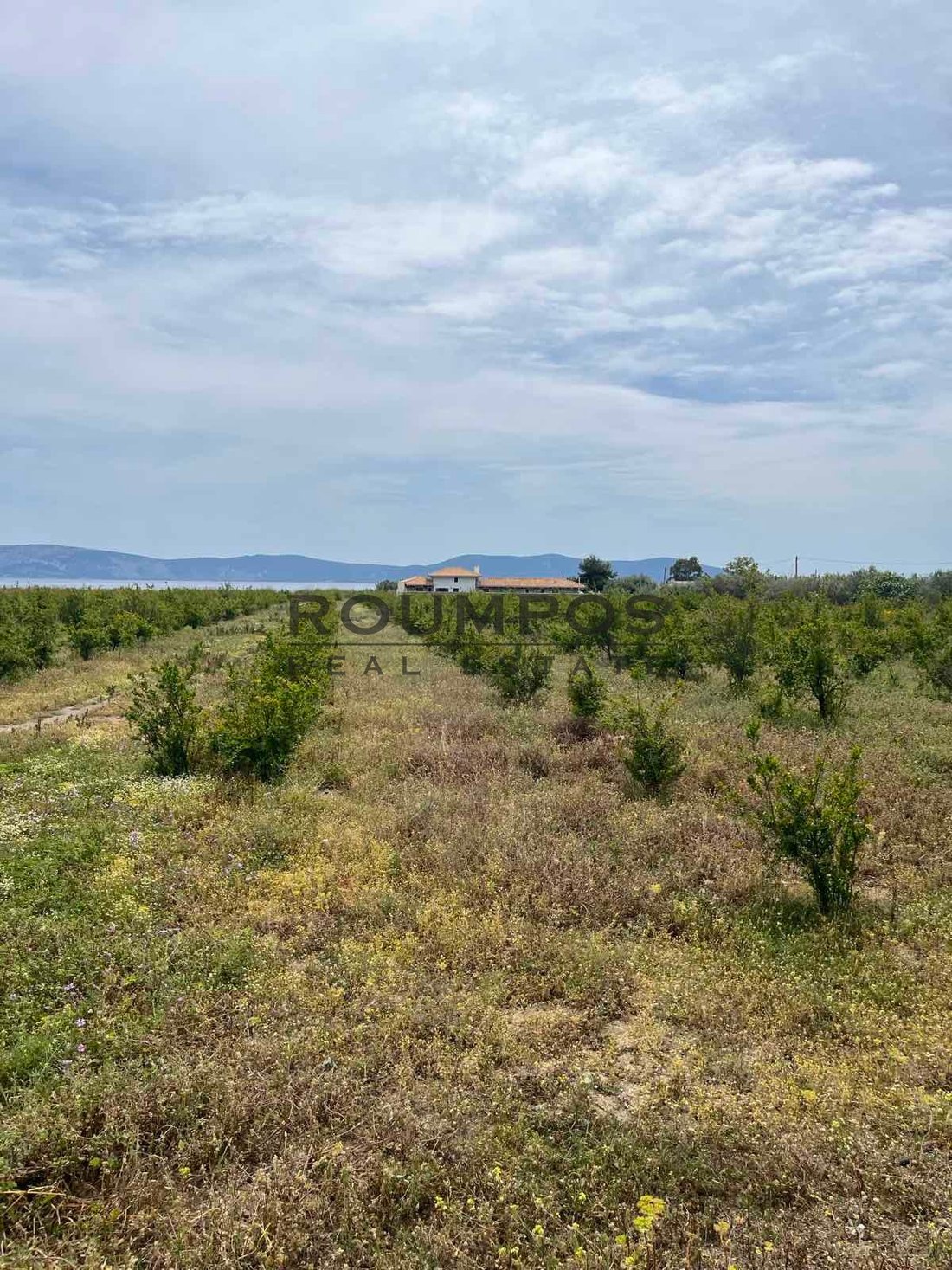 1977242 Parcel For Sale, Ermioni, In Koinotita Thermisias, Ermioni ...